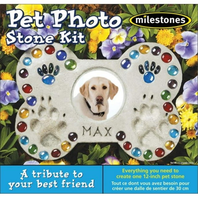 Mosaic Stepping Stone Kit-Pet Photo - Walmart.com