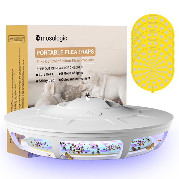 Fruit Fly and Gnat Traps in Fly - Walmart.com