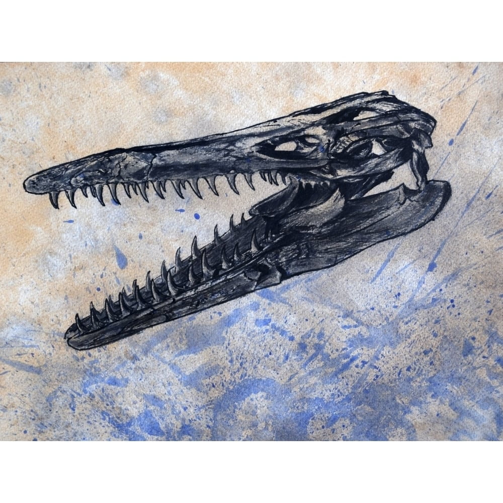 Mosasaurus dinosaur skull Poster Print - Walmart.com