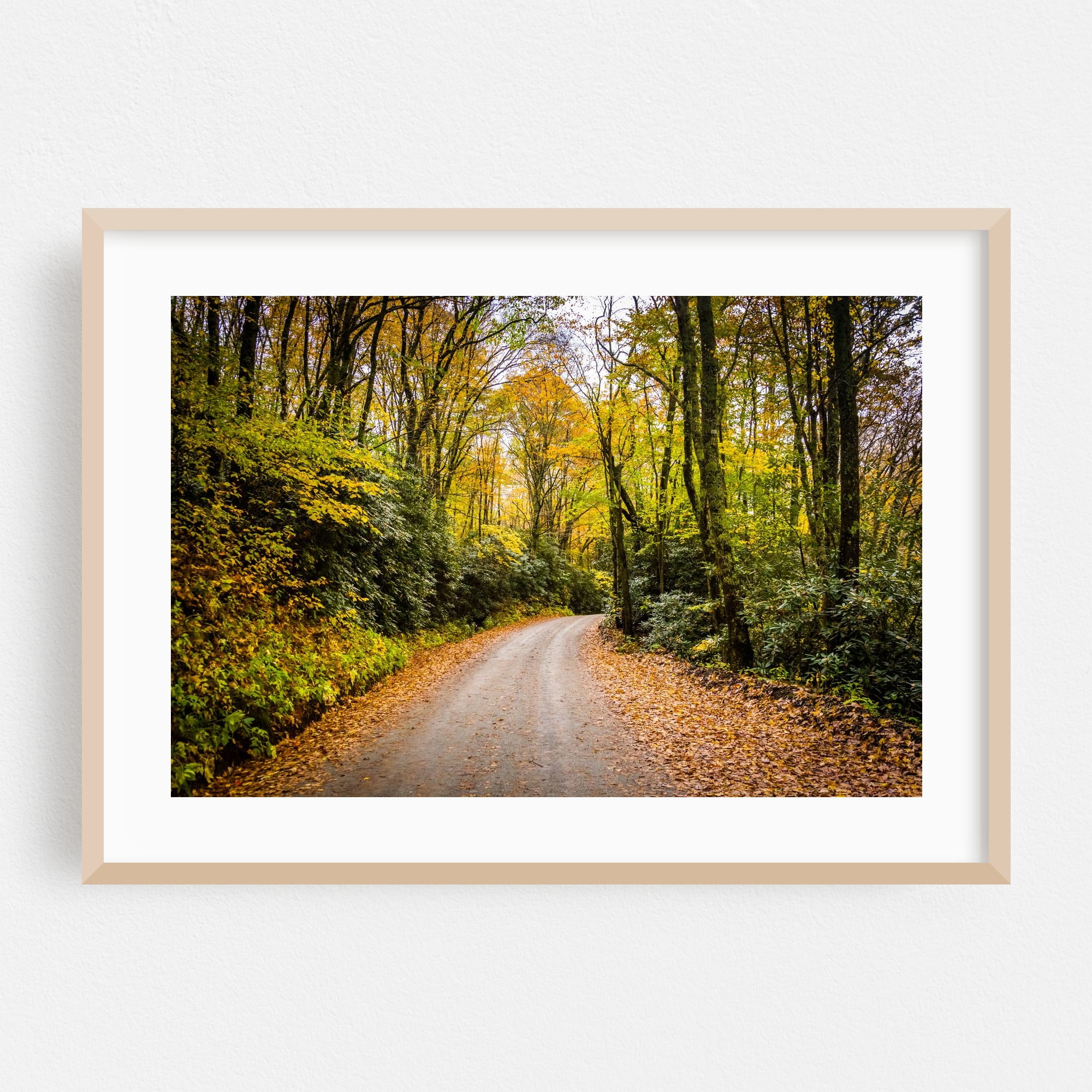 Moses H. Cone Park - North Carolina Photography Oak Framed Wall Art ...