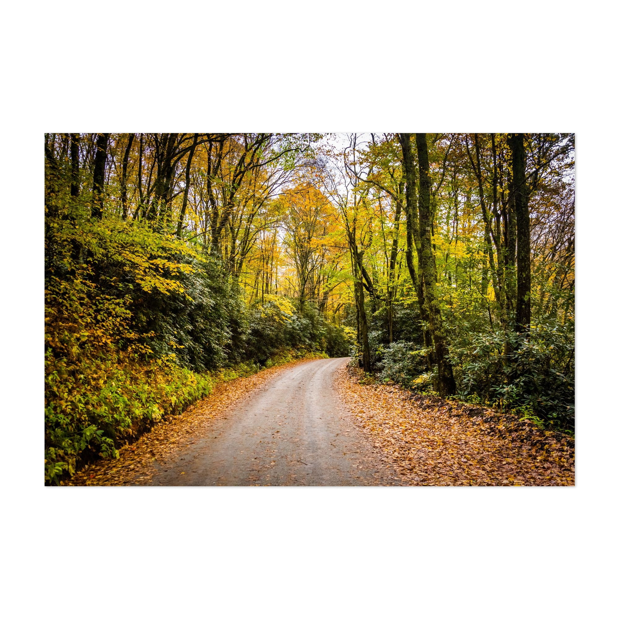 Moses H. Cone Park - North Carolina Photography Unframed Wall Art Print ...