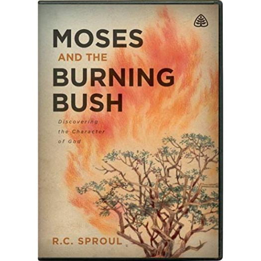 Moses and the Burning Bush, 9781567695779, 1567695779, Paperback ...