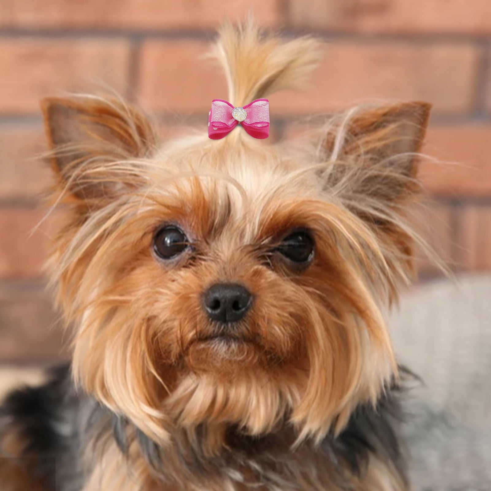 Mosey Cute Pet Hair Accessories Vibrant Color for Festival Pet Grooming ...