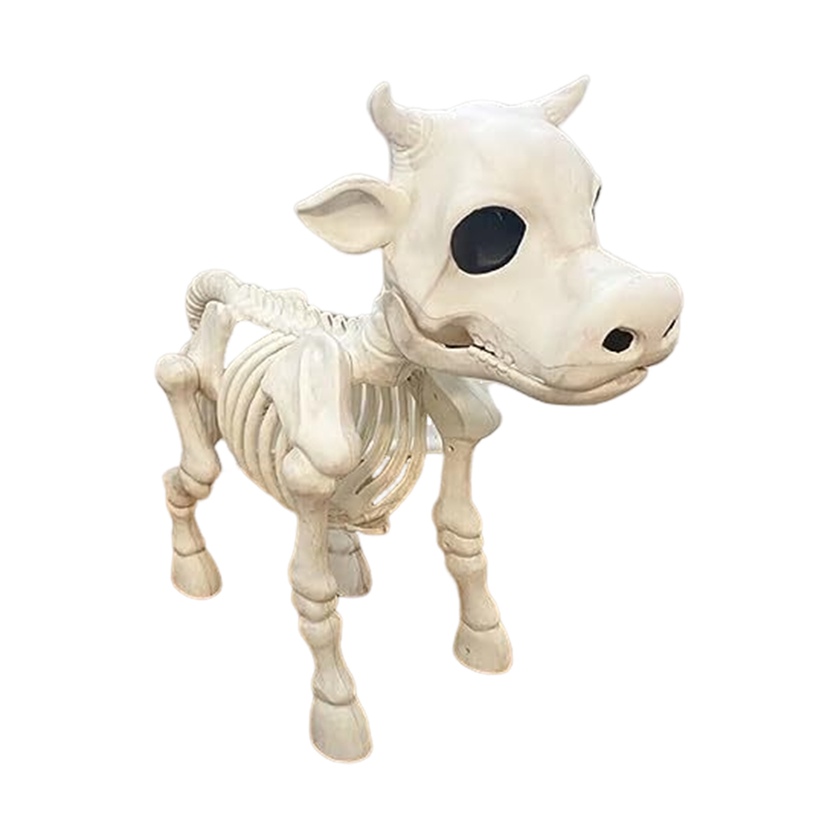 Mosey Halloween Resin Cow Skeleton Spooky Realistic Animal Calf Bone ...