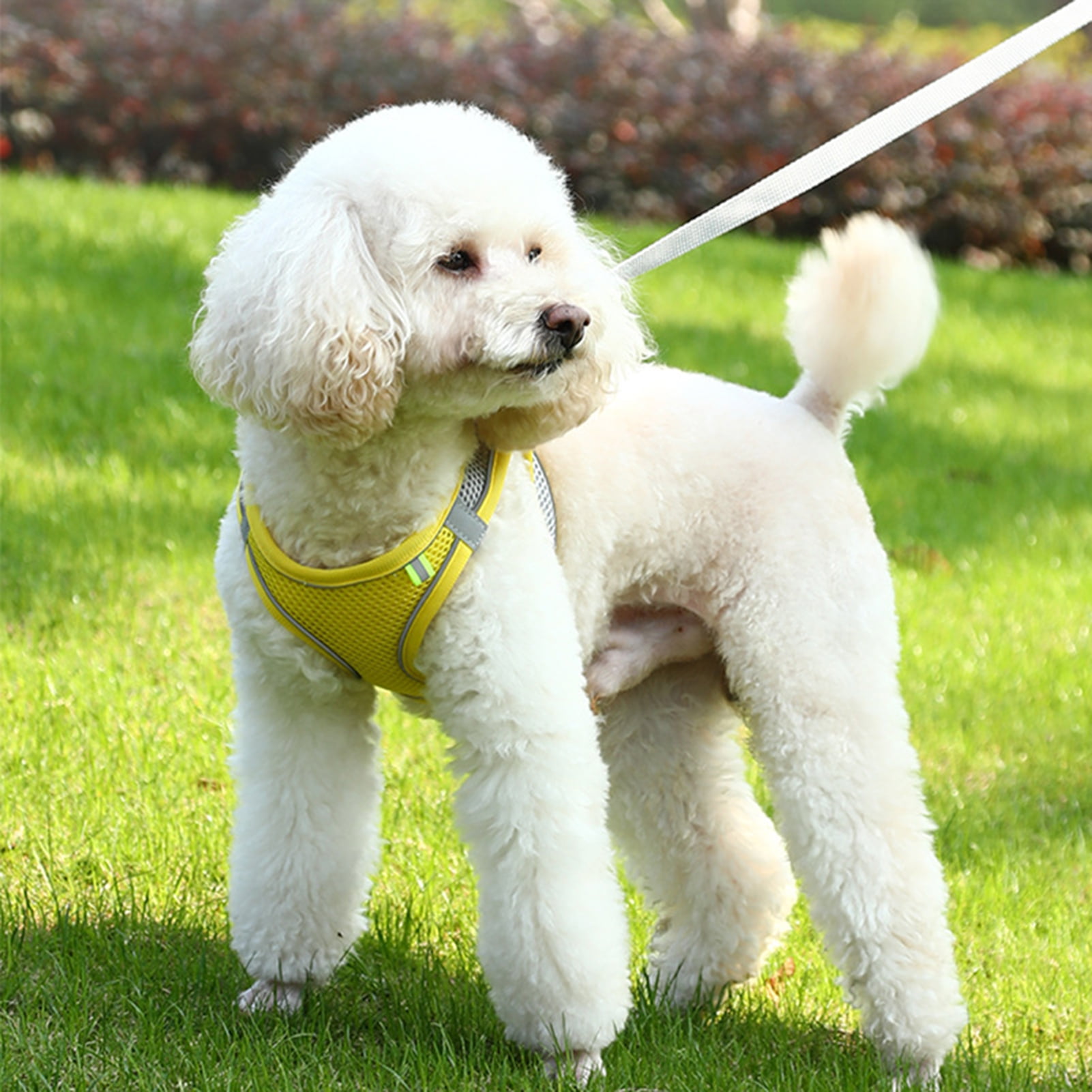 Mosey Stylish Pet Chest Strap Breathable for Hiking Non-sticky Hair ...