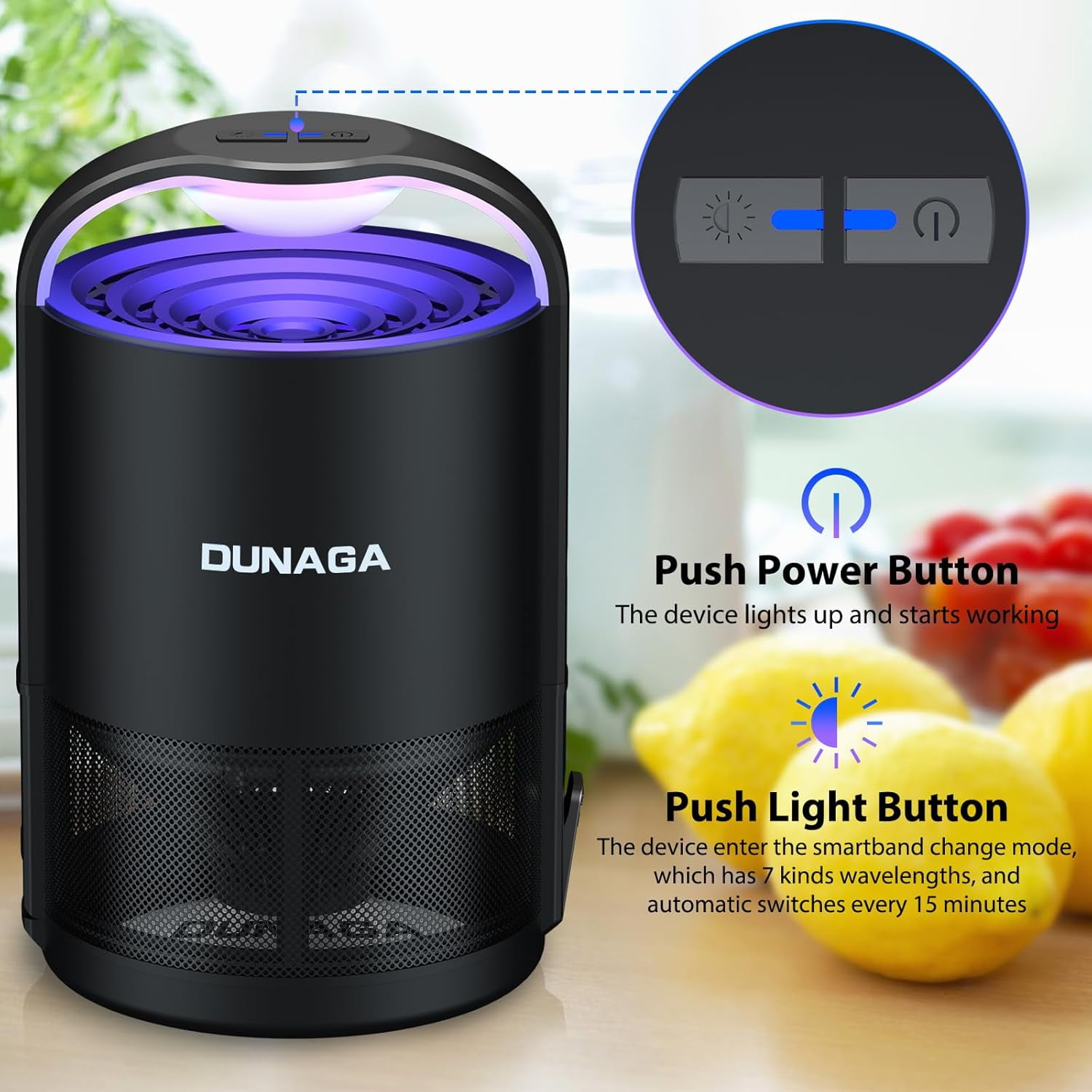 Mosquito & Fruit Fly Trap – Indoor Use with 10 Sticky Pads, Black ...