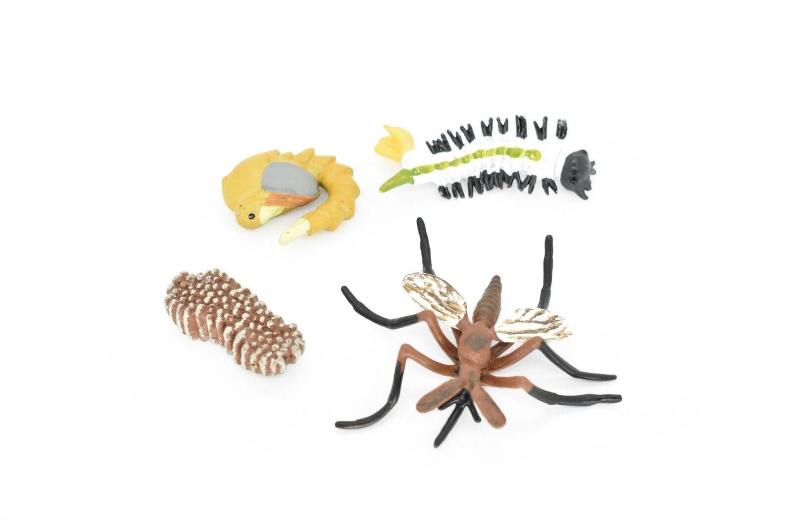 Mosquito, Learn the Mosquito Life Cycle, Very Nice Plastic Figure ...