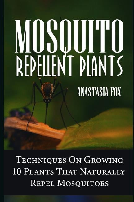 Mosquito Repellent Plants: Techniques On Growing 10 Plants That ...
