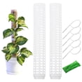 Moss Column For Climbing Plants - Set Of 2 Growth Supports For Monstera ...