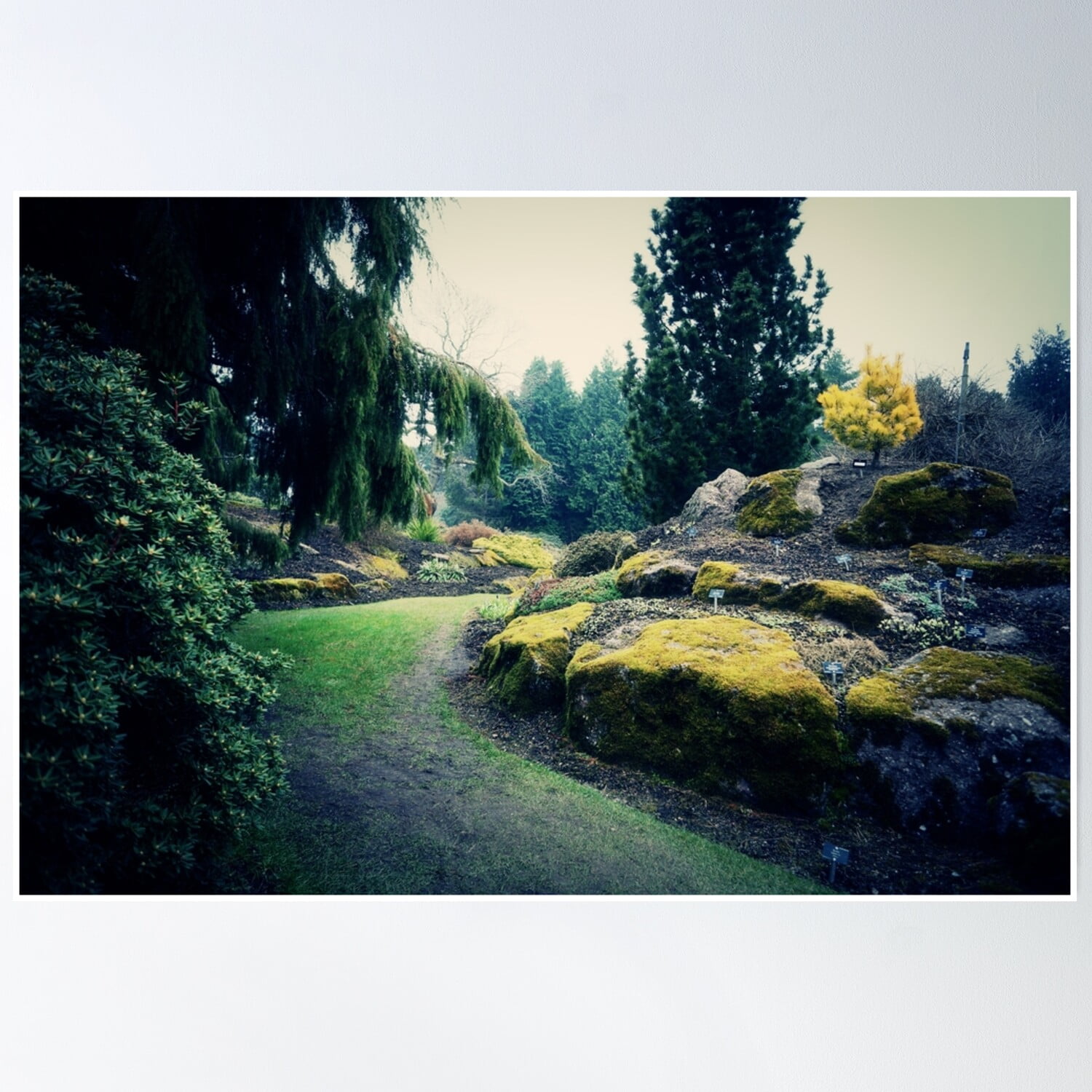 Moss Covered Poster Wall Art, Modern Wall Decor, 12x18 UNFRAMED ...
