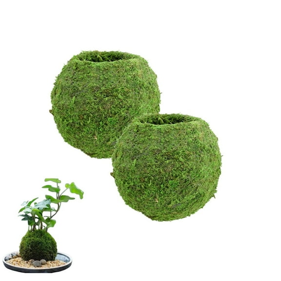Moss Flower Pot