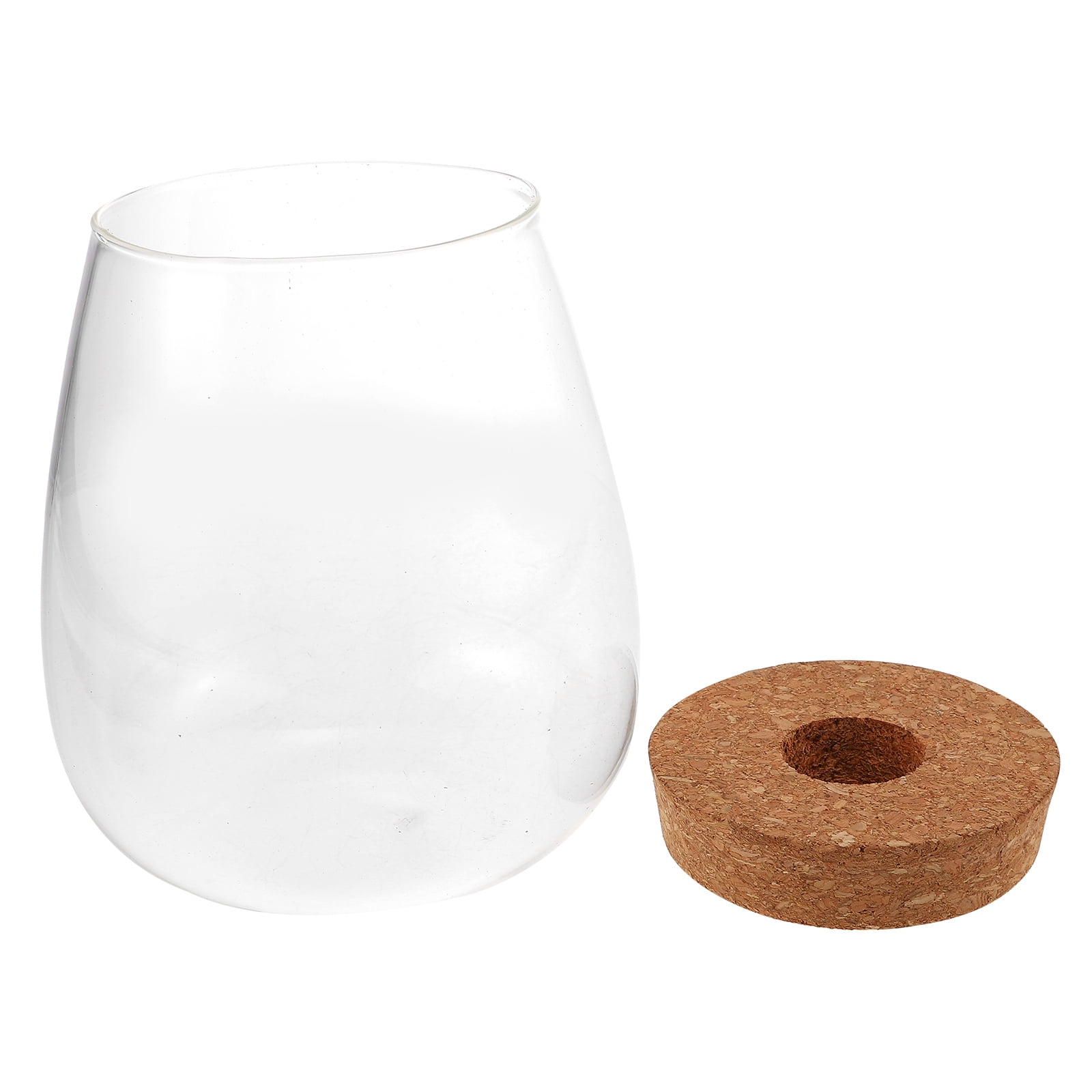 Moss Landscape Terrarium Plant Nourishing Bottles Desktop Ecological ...