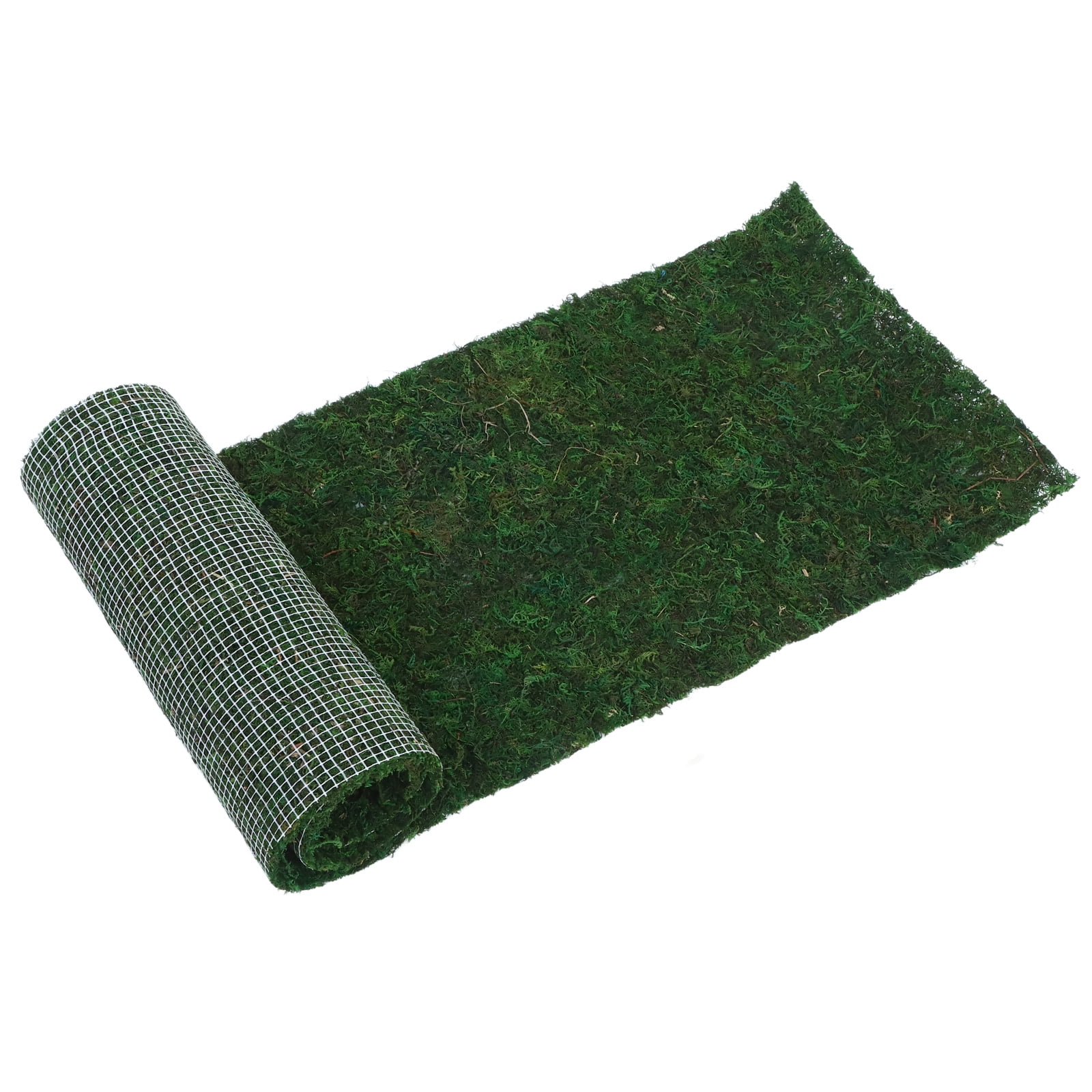 Moss Mesh Faux Mat Artificial Turf Texture of Real and Grass Lawn Plant ...