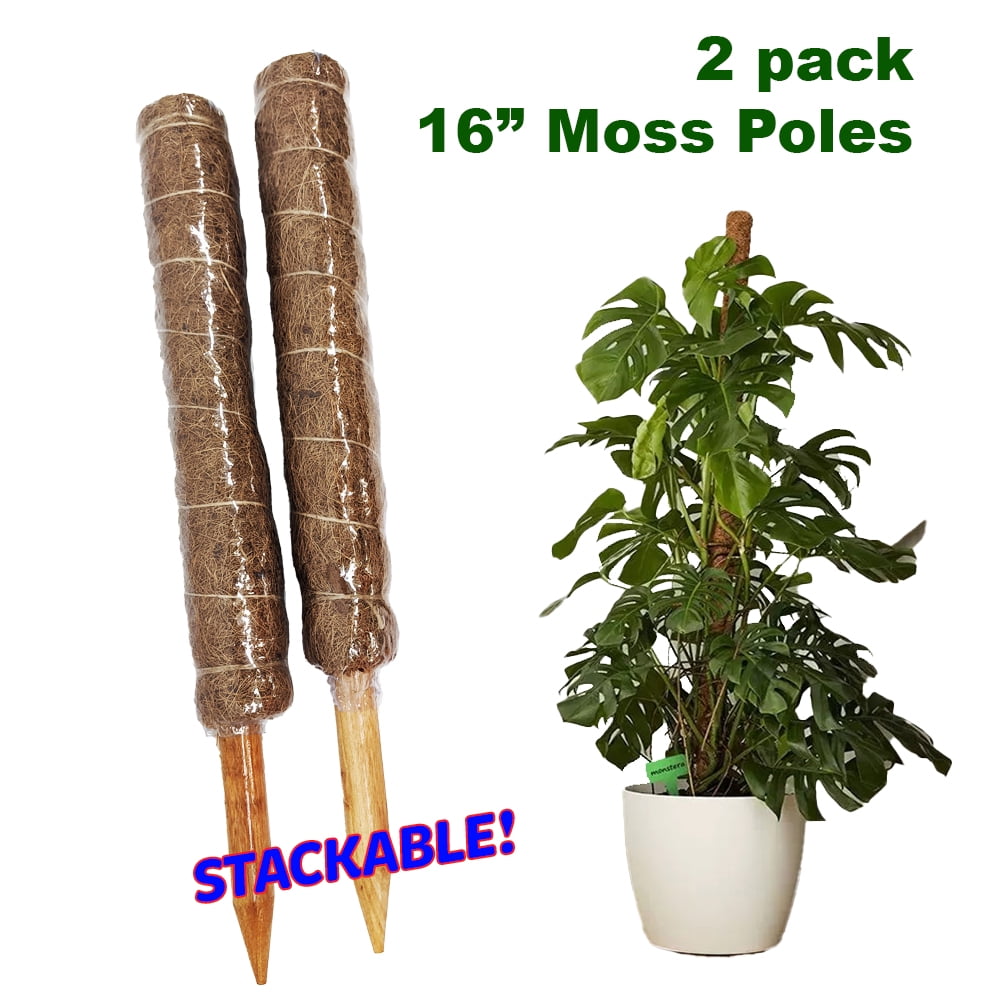 Moss Pole (2pk) Stackable Coir Moss Poles Plant support trellis ...