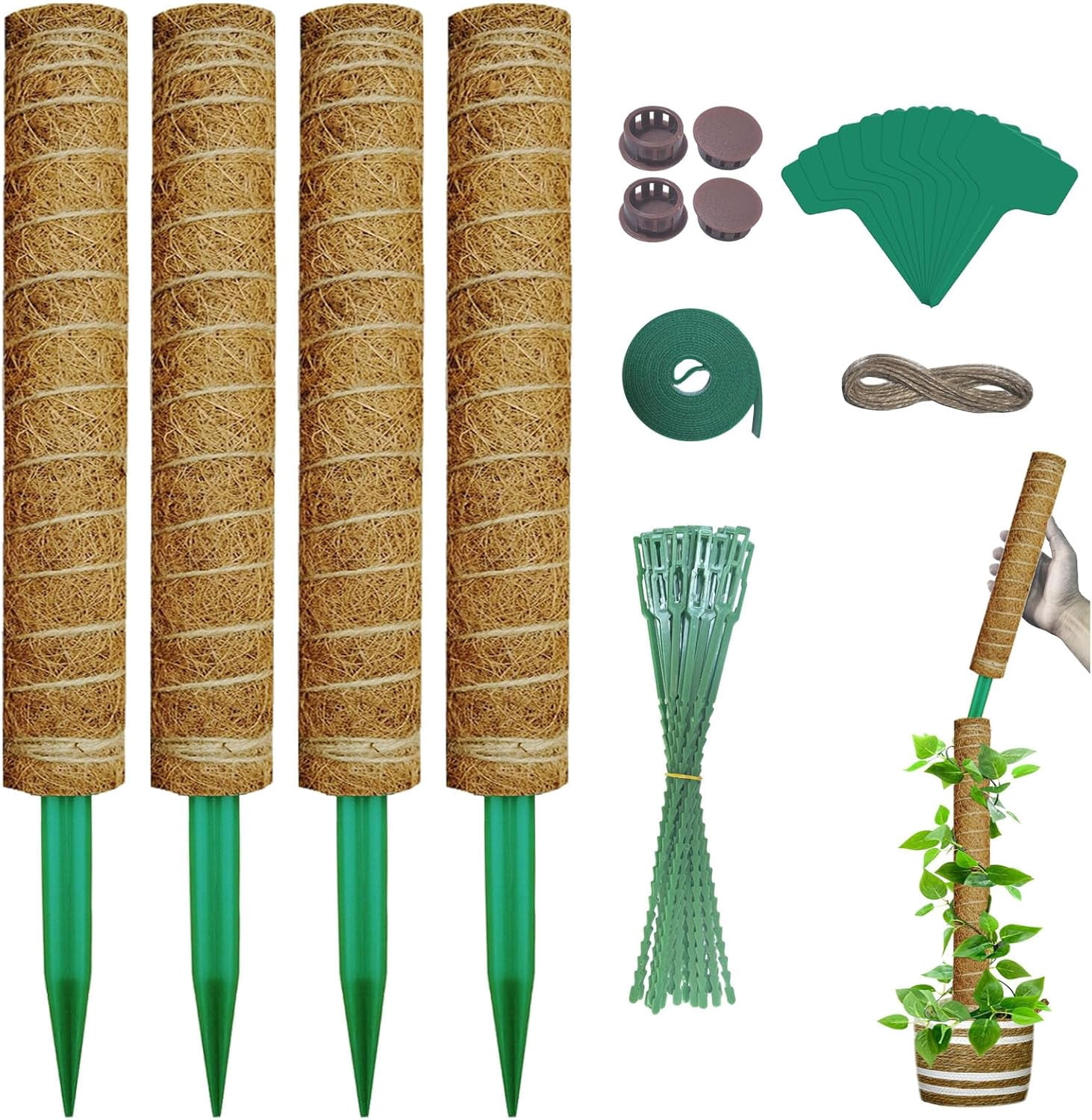 Moss Pole, 53.5 Inch Monstera Plant Support, Moss Sticks for Indoor ...