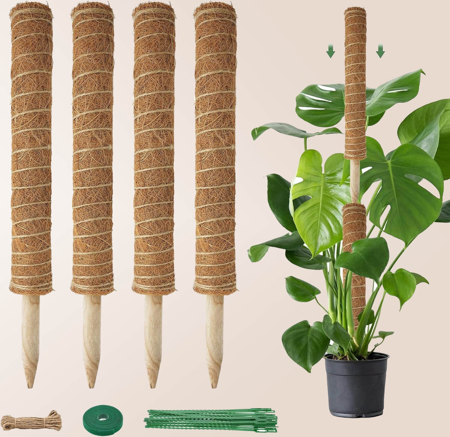 Moss Pole for Plants Indoor - Plant Poles for Climbing Plants to Grow ...