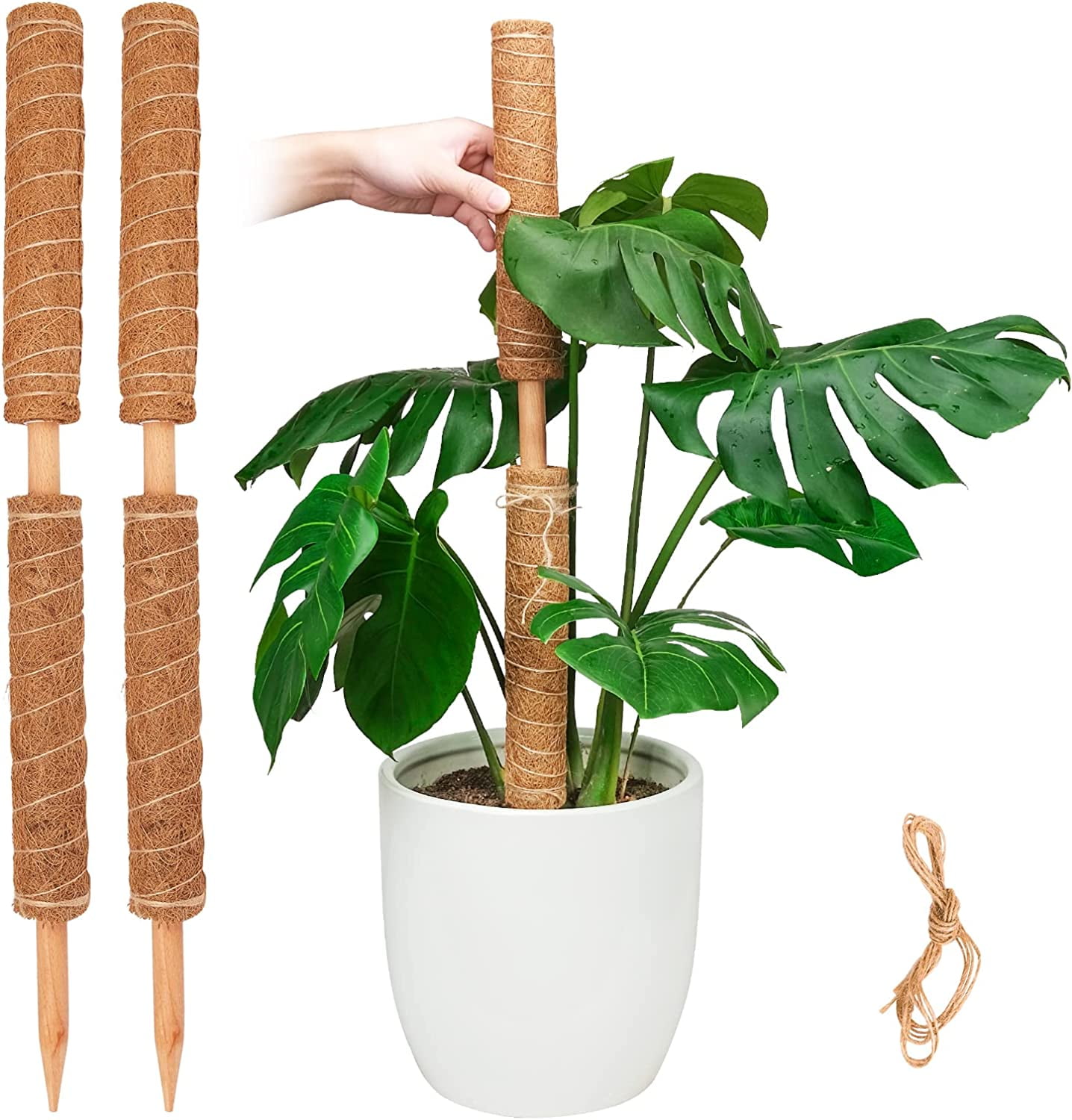 Moss Pole for Plants Monstera, Extendable Plant Sticks Support, Plant ...