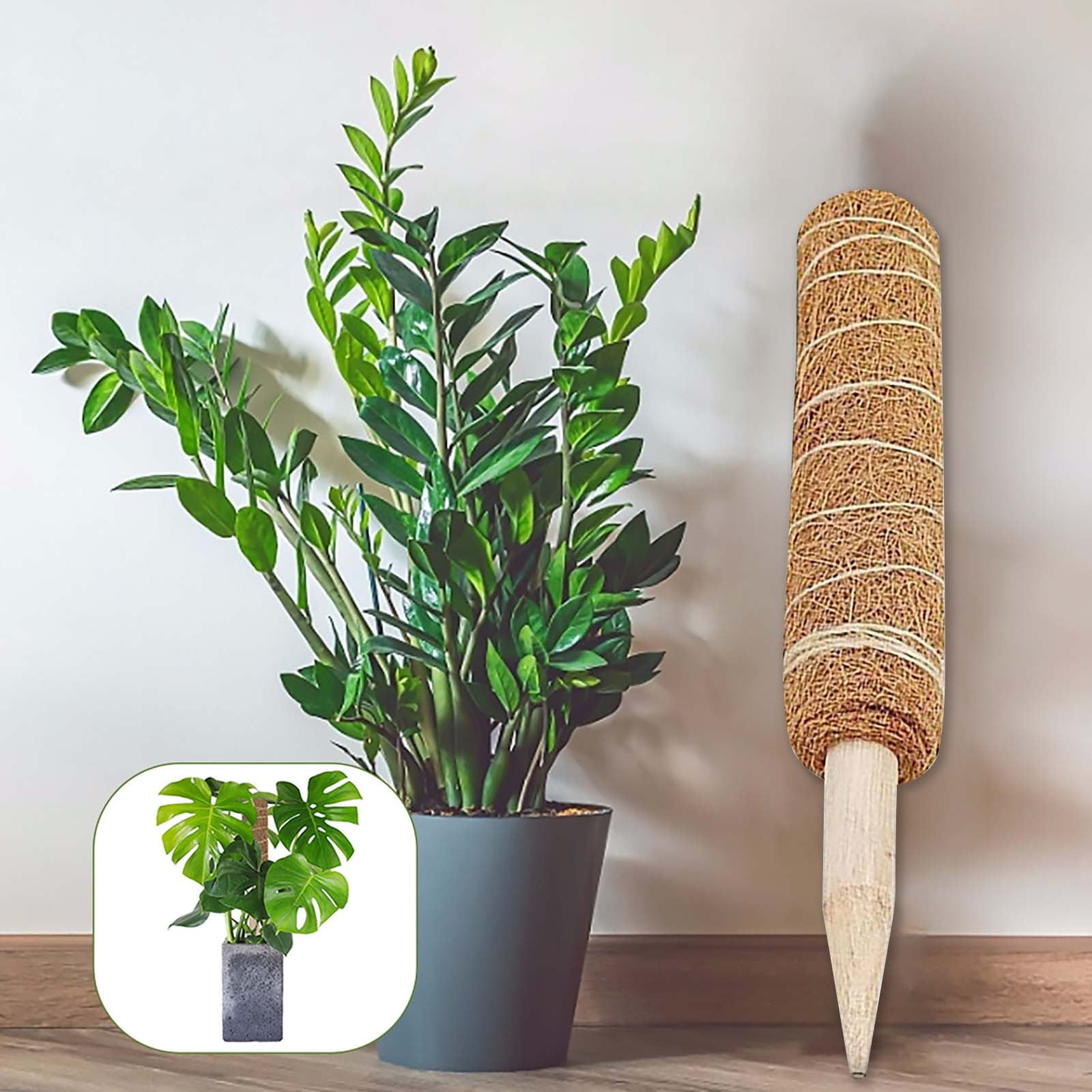 Moss Pole for Plants Monstera, 20 Inch Bendable Moss Pole for Climbing ...