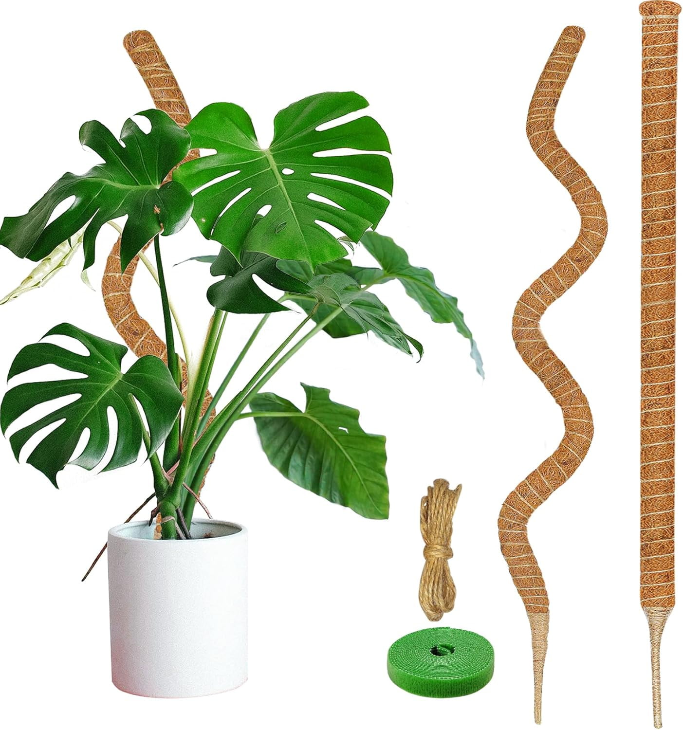 Moss Poles for Plants,Bendable Plant Support Stakes for Climbing Plants ...