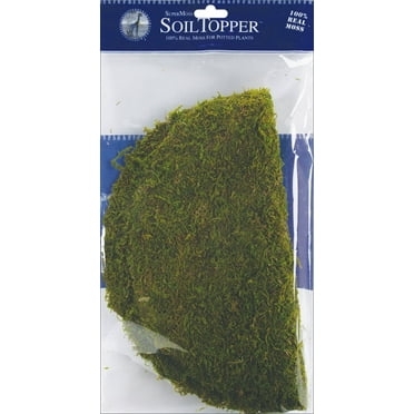 Proflora Preserved Forest Moss, True Green, 320 CU in - Walmart.com