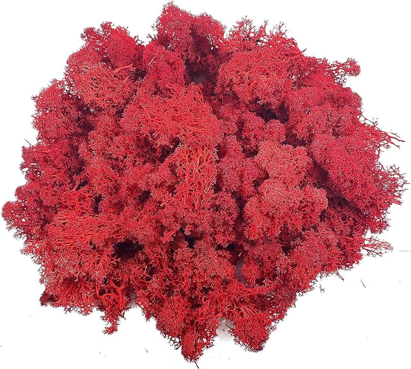Moss Preserved Artificial Moss 8.8 oz Natural Fresh Green Moss for ...