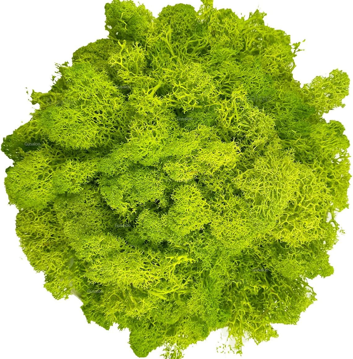 Moss Preserved Moss for Potted Plants Natural Fresh Green Reindeer Moss ...