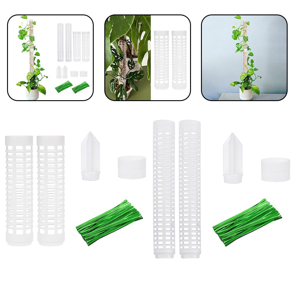 Moss Rod Plant Pole with Plant Bands for Climbing Plants Natural Plant ...
