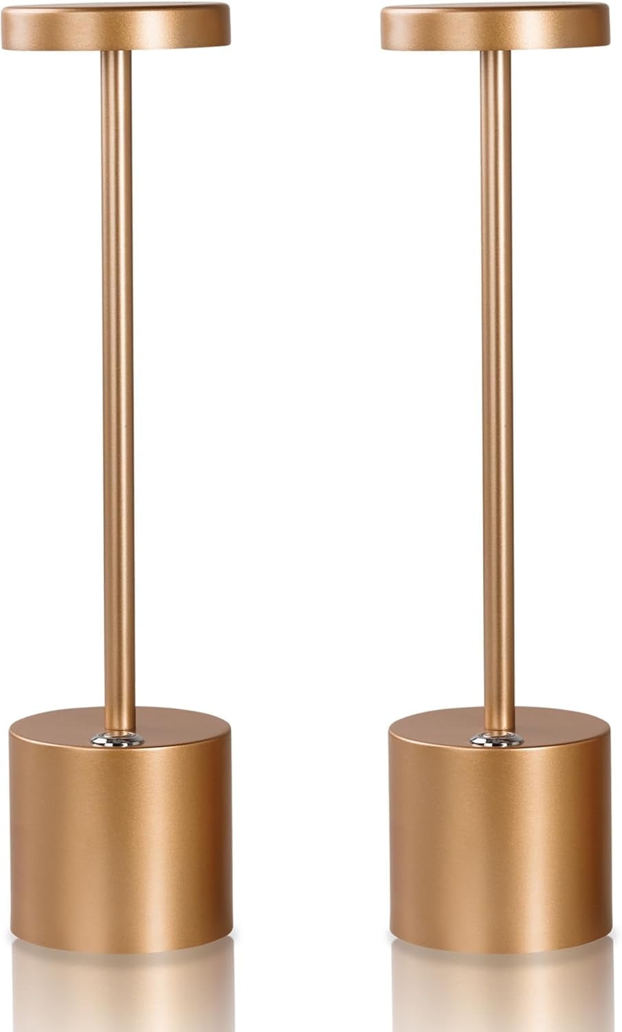 Moss & Stone 2-Light Rechargeable Cordless LED Desk Lamp, 3000mAh ...