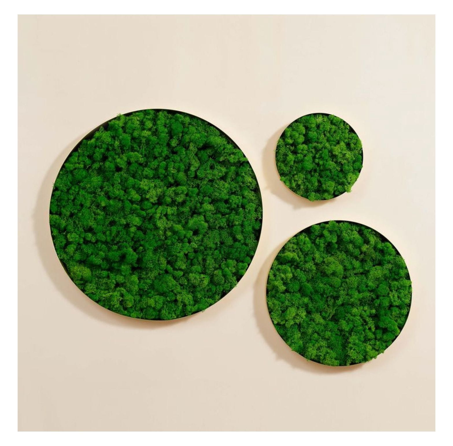 Moss Wall Decor Round Framed, 18.1x18.1 inch - Preserved Real Moss ...
