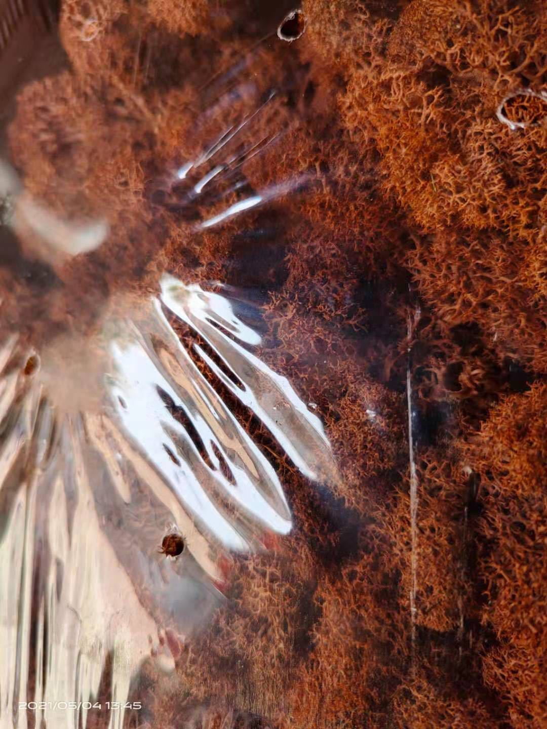 Moss reindeer core eternal Moss 500g artificial flower green plant wall ...