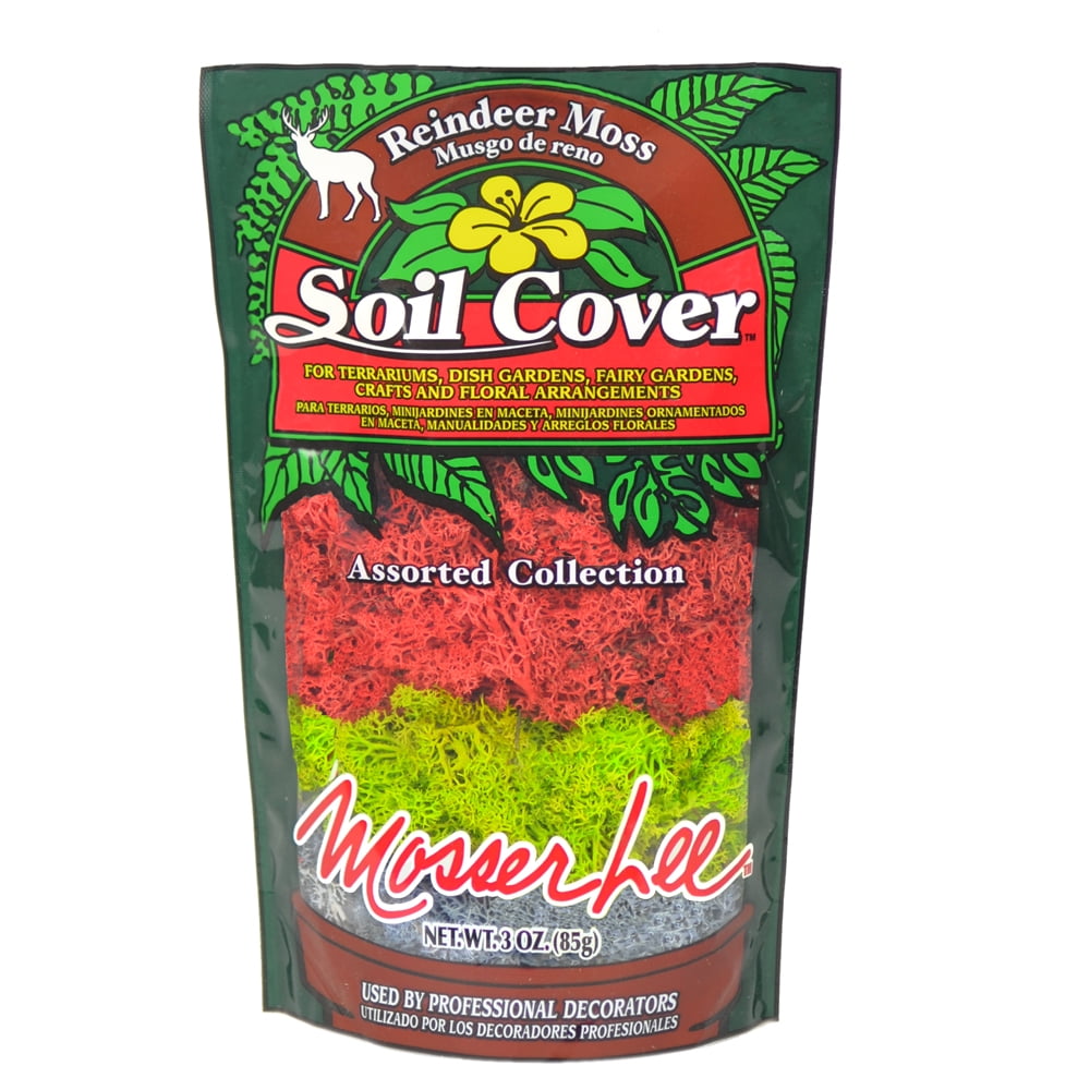 Mosser Lee ML3020 Reindeer Moss - Assorted, 3 oz. - Walmart.com