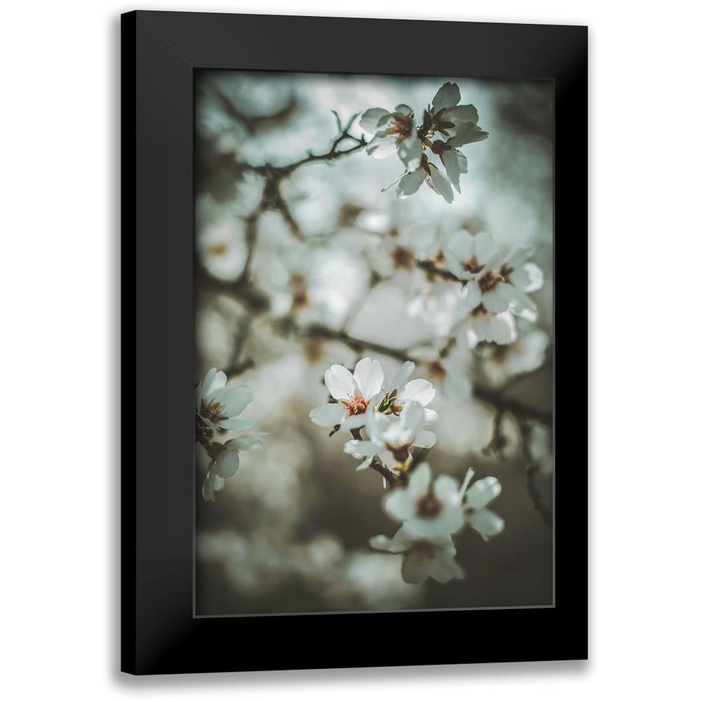Mossholder, Tim 13x18 Black Modern Framed Museum Art Print Titled ...