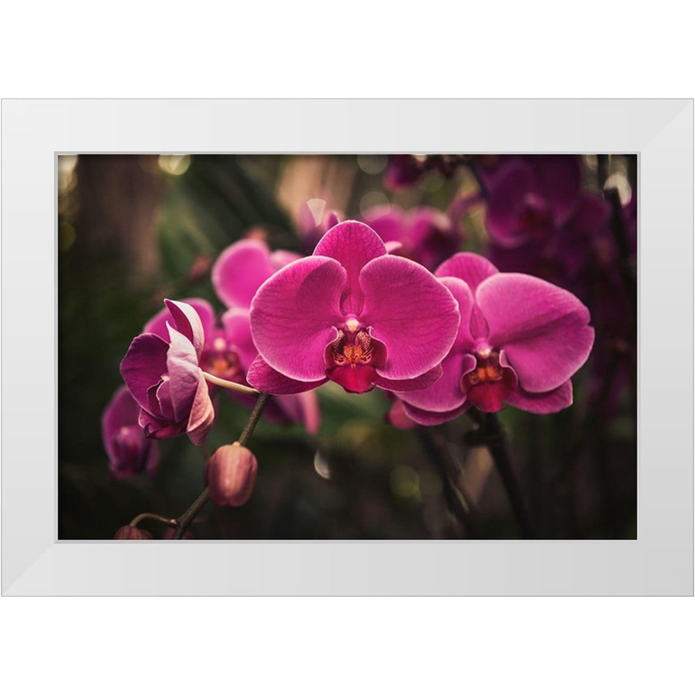 Mossholder, Tim 14x11 White Modern Wood Framed Museum Art Print Titled ...