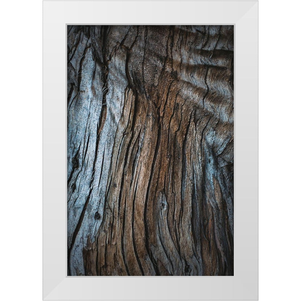 Mossholder, Tim 23x32 White Modern Wood Framed Museum Art Print Titled ...