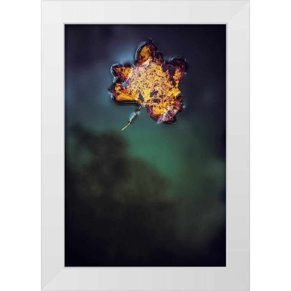 Mossholder, Tim 23x32 White Modern Wood Framed Museum Art Print Titled ...