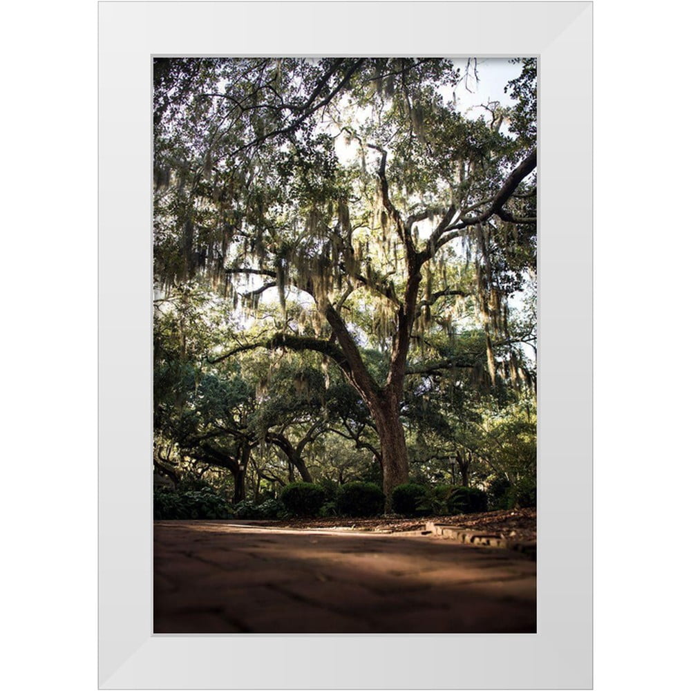 Mossholder, Tim 23x32 White Modern Wood Framed Museum Art Print Titled ...