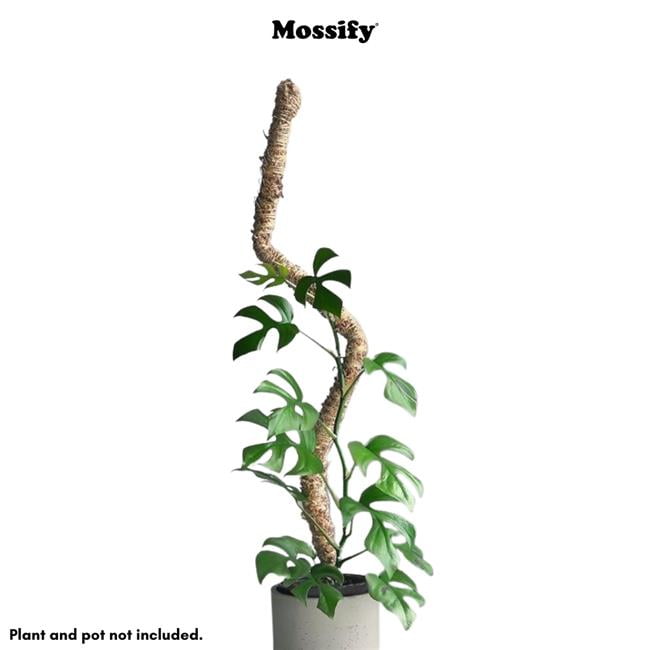 Mossify 088245 42 in. BMP-0042 Bendable Moss Pole MP12 Plant, Brown ...