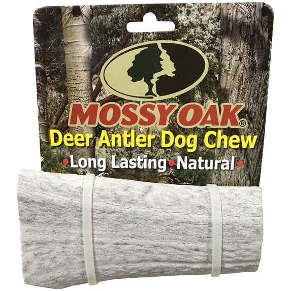 Mossy Oak: Deer Antler - Jumbo - Dog Chew, Whole Piece, Naturally Shed ...