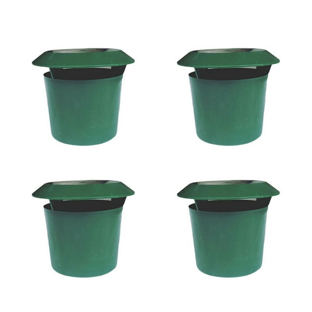 Moth Outdoor Large Cockroach Indoor Indoor Large Sticky Flea & Box C ...