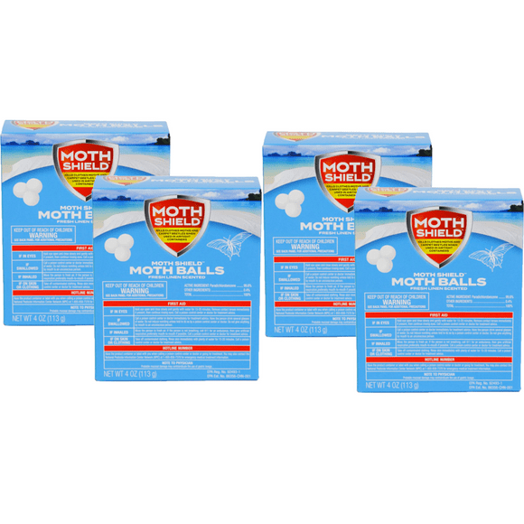 Carpet Beetles Control