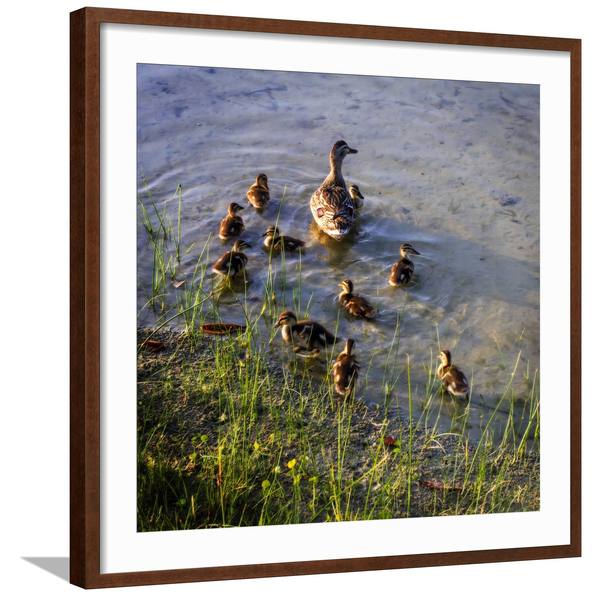 Art.com Mother Duck and Family II Photographic Print by Alan ...