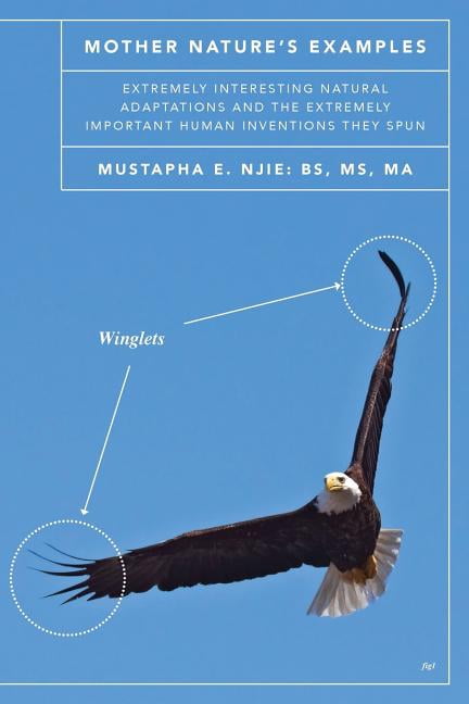Mother Nature's Examples: Extremely Interesting Natural Adaptations and ...