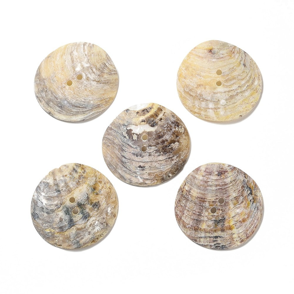 Mother of Pearl Buttons Akoya Shell Button 2-Hole Shell Shape Mixed ...
