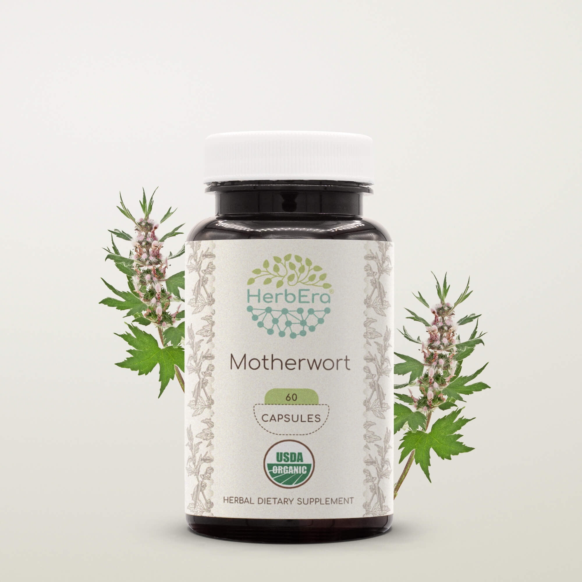Motherwort 60 Capsules, 400 mg, Organic Motherwort (Leonurus Cardiaca ...