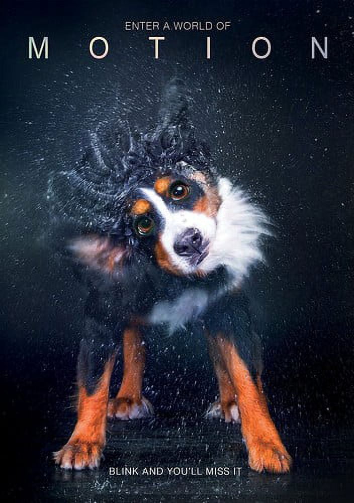 Motion (DVD), Ruthless, Documentary - Walmart.com