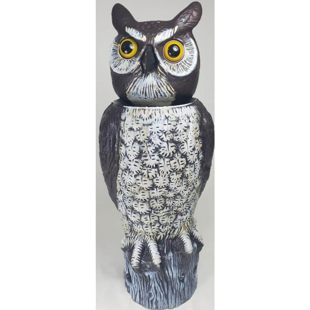 Motion Activated Owl Sound