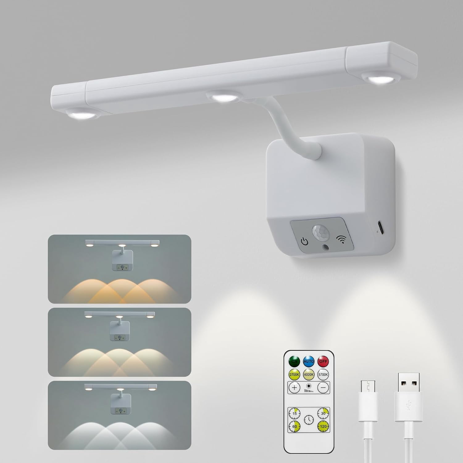 Motion Sensor Picture Light with Remote Control, Dimmable Wall Sconce ...