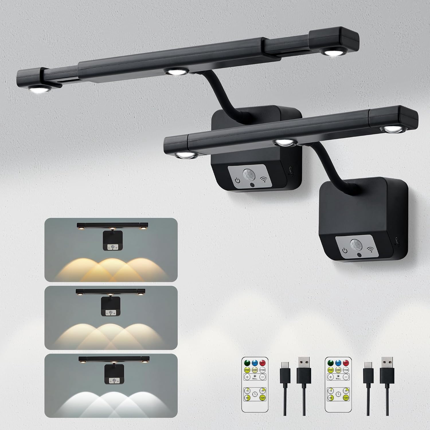 Motion Sensor Picture Light with Remote Control, Dimmable Wall Sconce ...