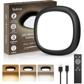 Wireless Ceiling Light