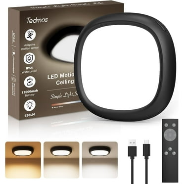 30W 4000LM LED Ceiling Light with Remote Control and App,with Bluetooth ...